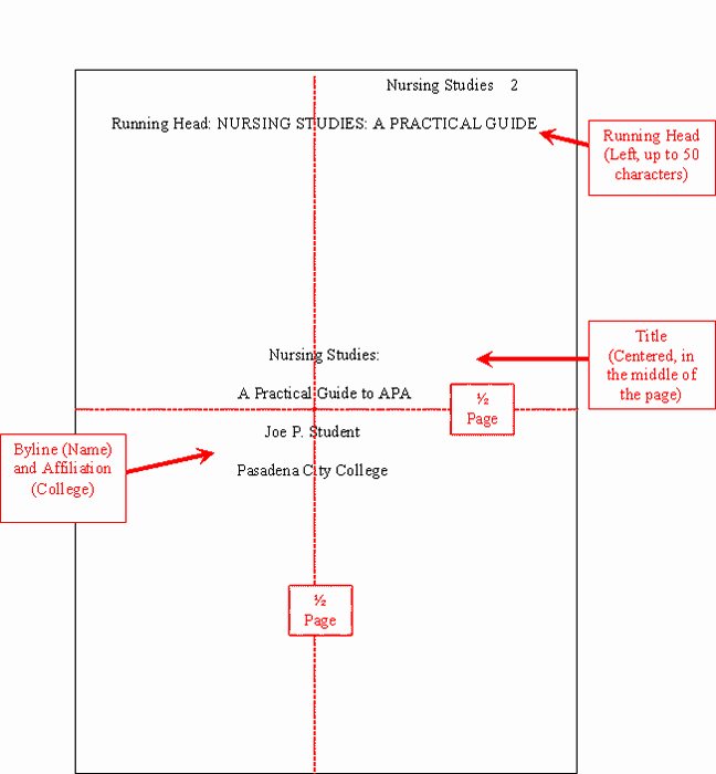 Apa Nursing Paper Examples 
