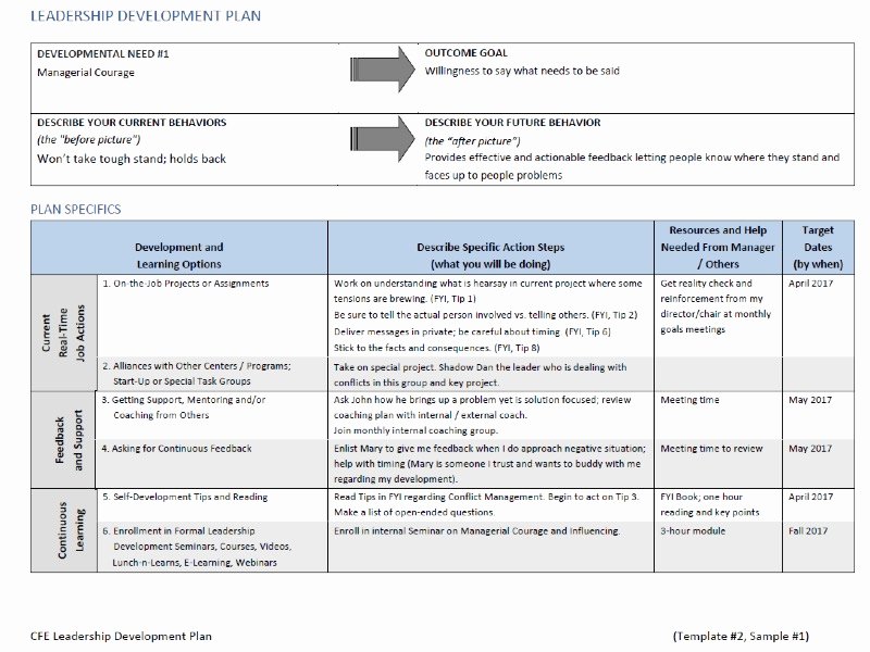 Individual Professional Development Plan Sample Peterainsworth