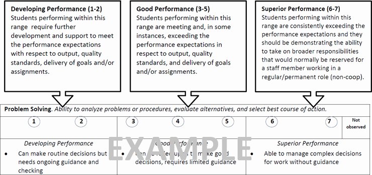  Student Performance Evaluation Examples 