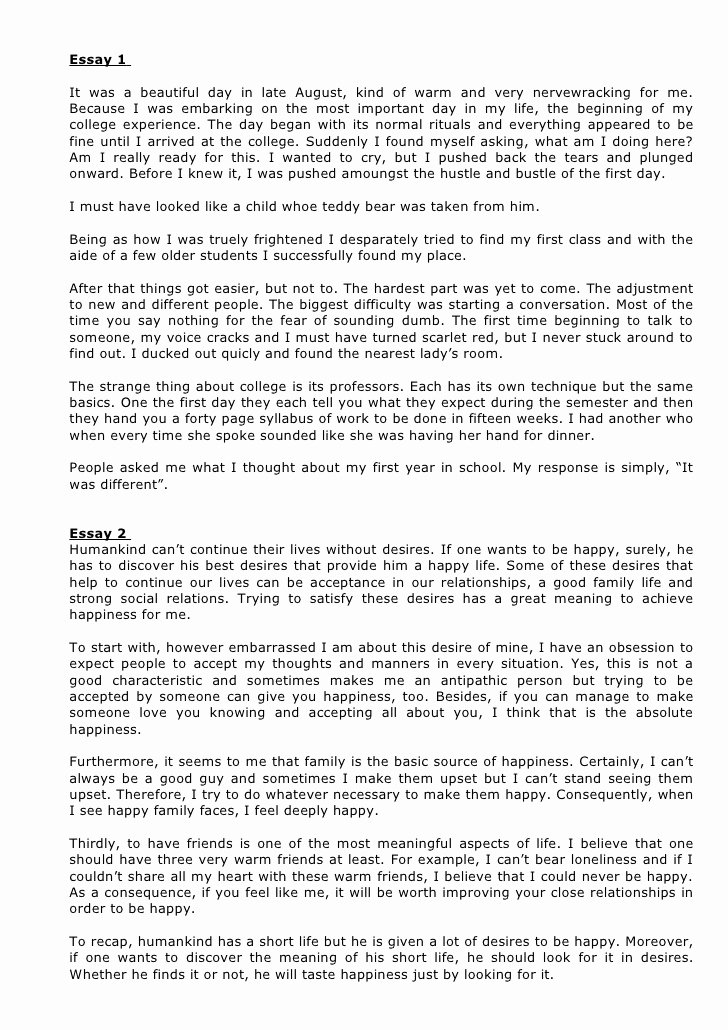 Well Written Essays Examples Well Written Essays Examples